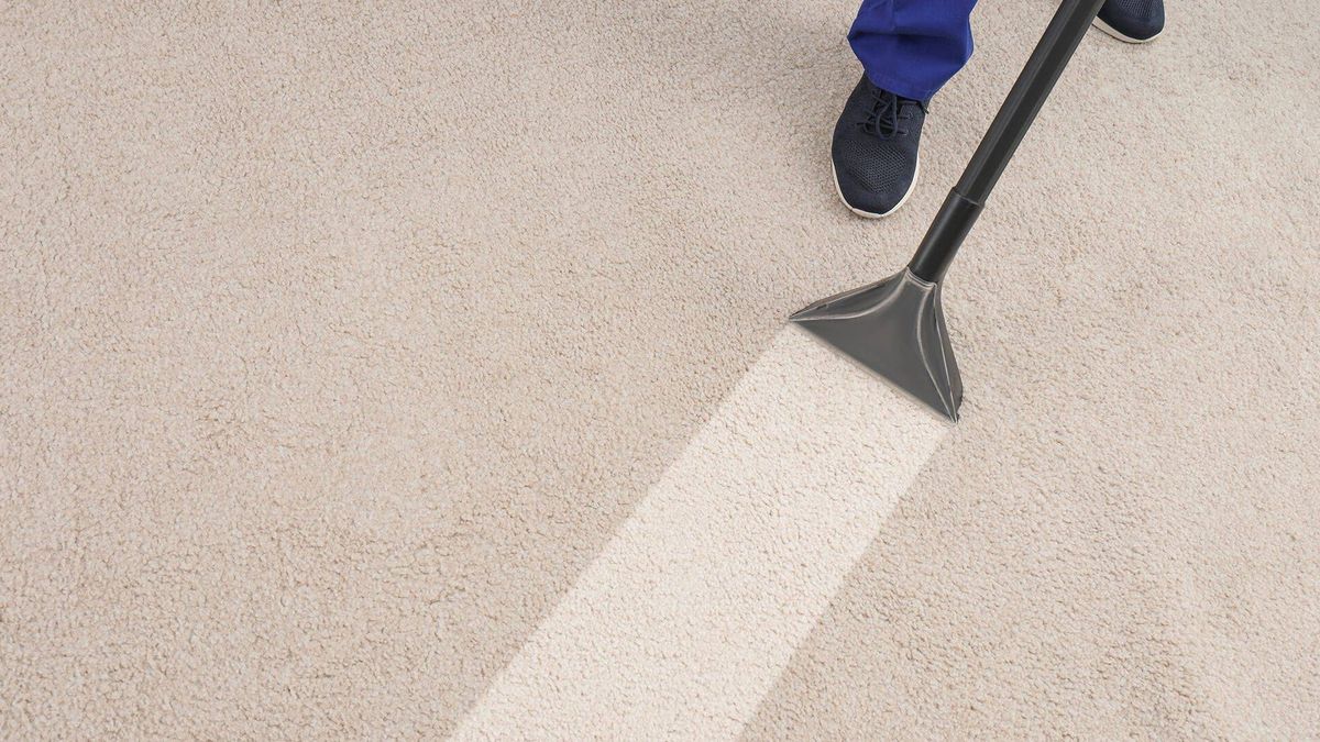 Effective DIY Carpet Stain Removal Tips Before the Pros Arrive