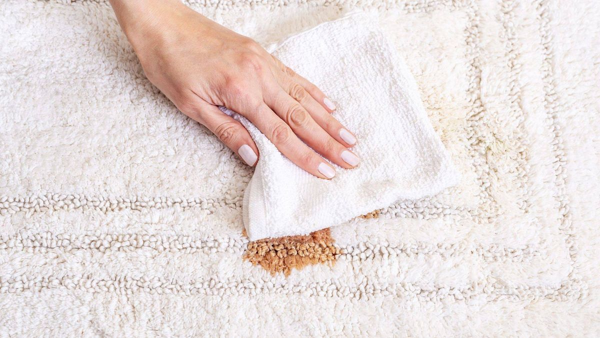 Expert Tips to Prevent Carpet Stains and Damage